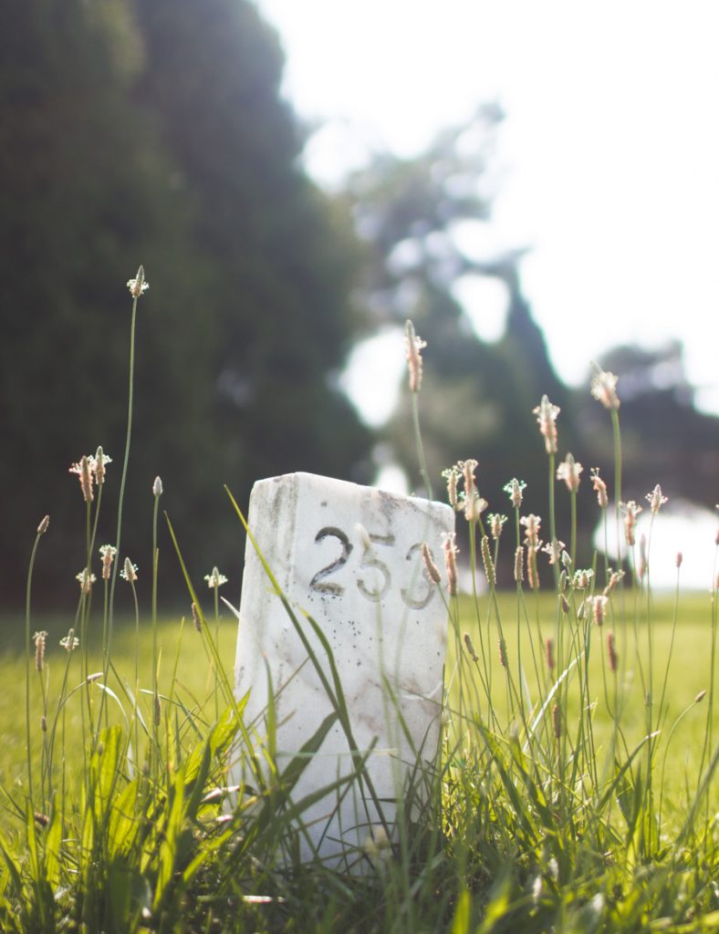 Wayne County Home Cemetery - THE DAINTY SQUID