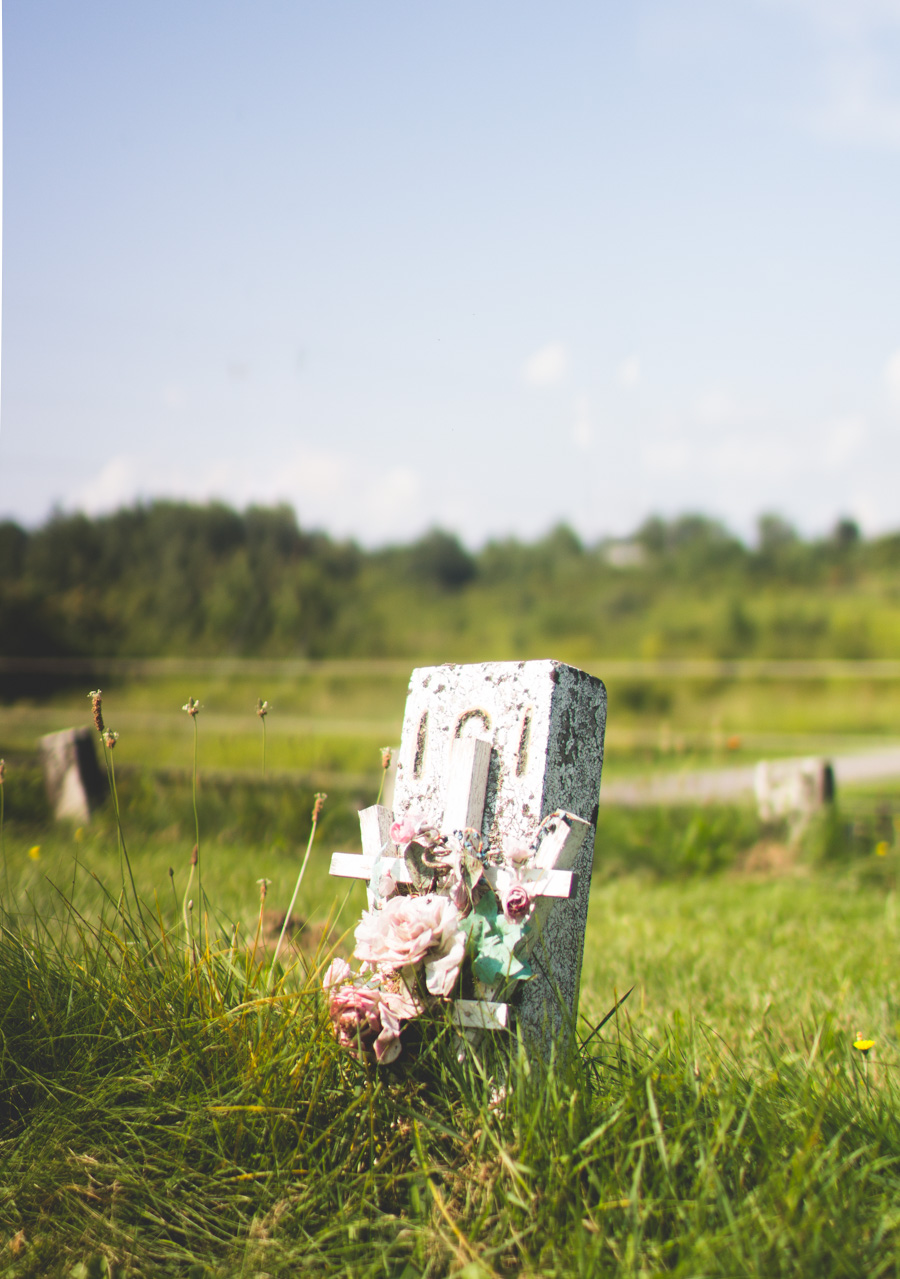 Wayne County Home Cemetery - THE DAINTY SQUID