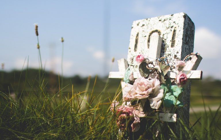 Wayne County Home Cemetery - THE DAINTY SQUID