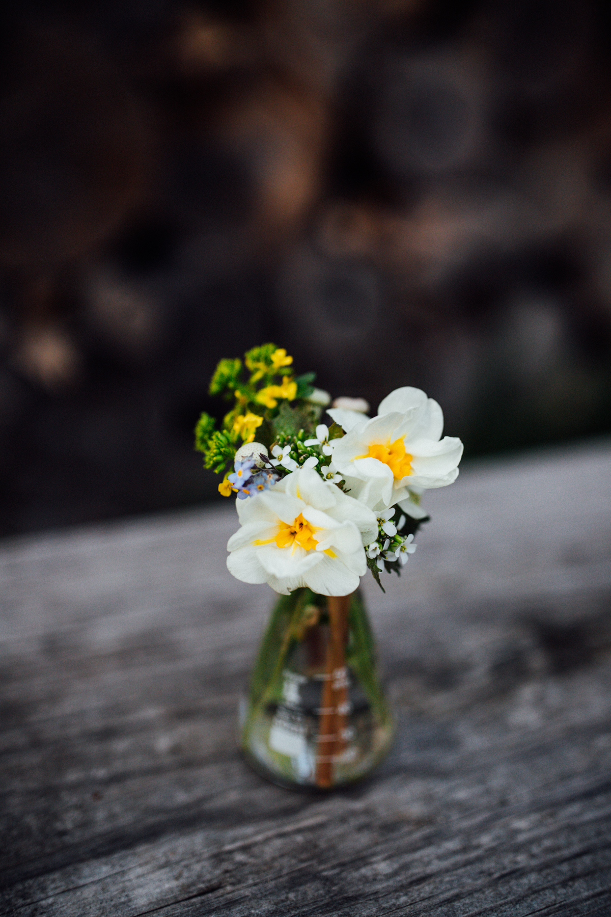2023 bouquets // pt. 2 - THE DAINTY SQUID