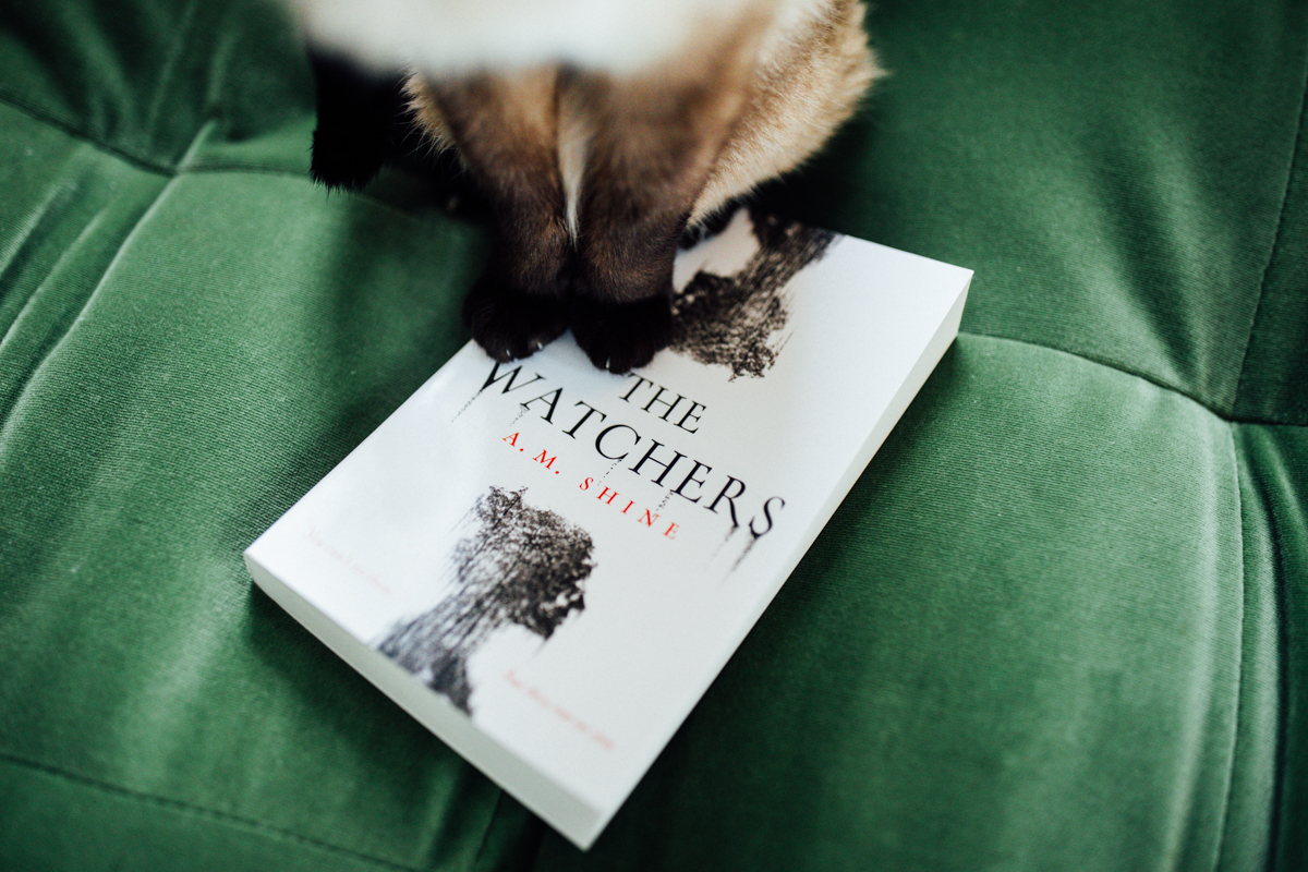 Blog - THE DAINTY SQUID