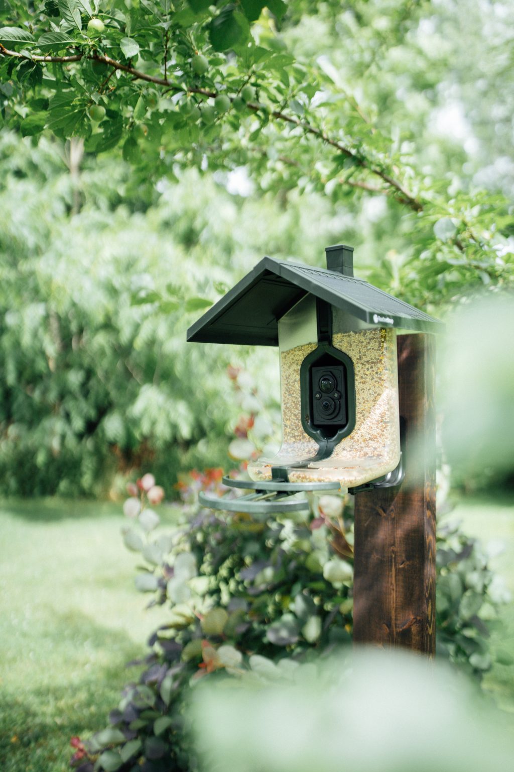 FeatherSnap bird feeder review - THE DAINTY SQUID